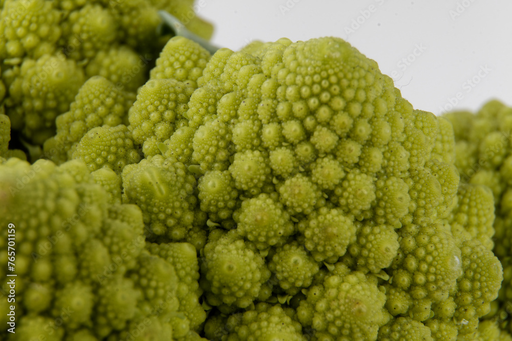 a biological example of Fibonacci spirals and fractals in nature using ...