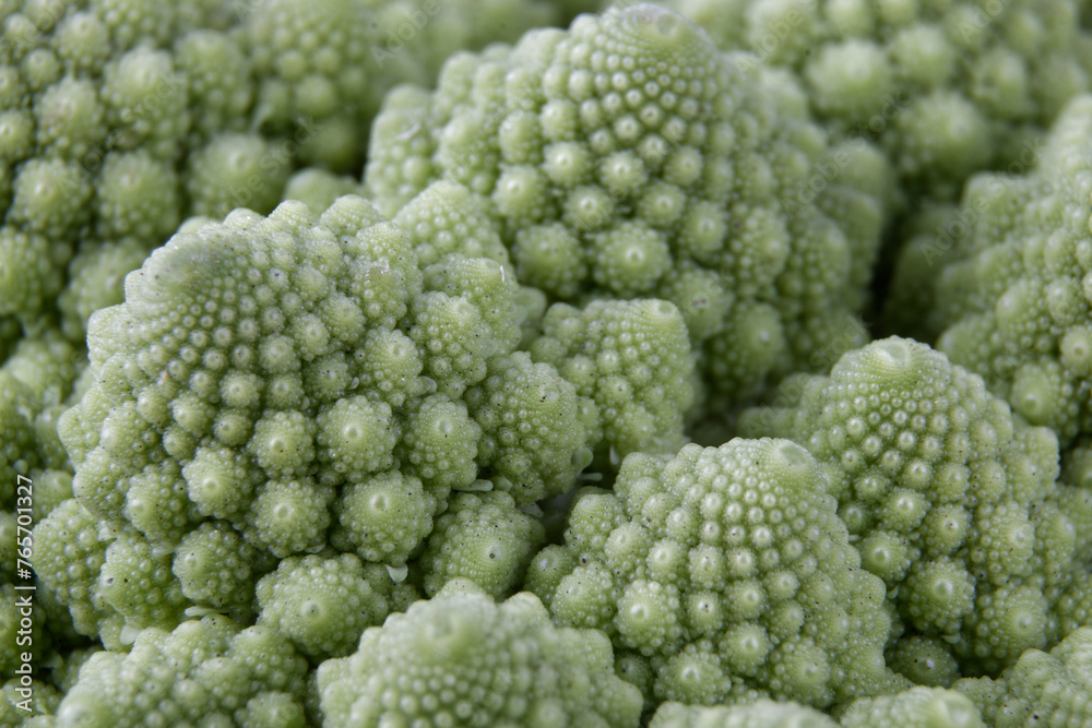 details of a biological example of Fibonacci spirals and fractals in ...