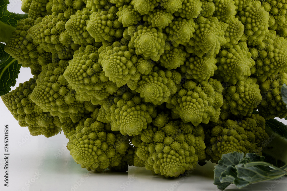 a biological example of Fibonacci spirals and fractals in nature using ...