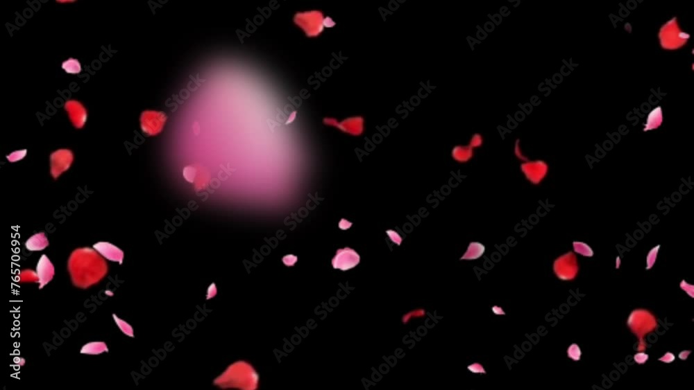 Realistic flowers leaf red rose fall and floating in the air black ...