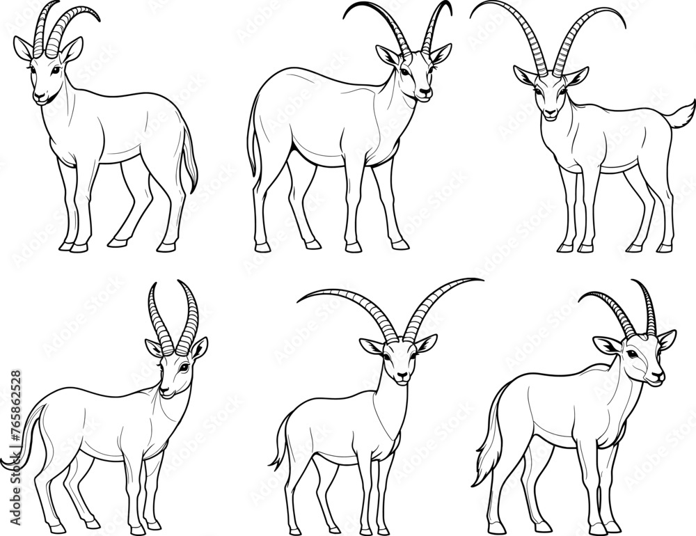 Scimitar horned Oryx hand drawn coloring page and outline vector design ...