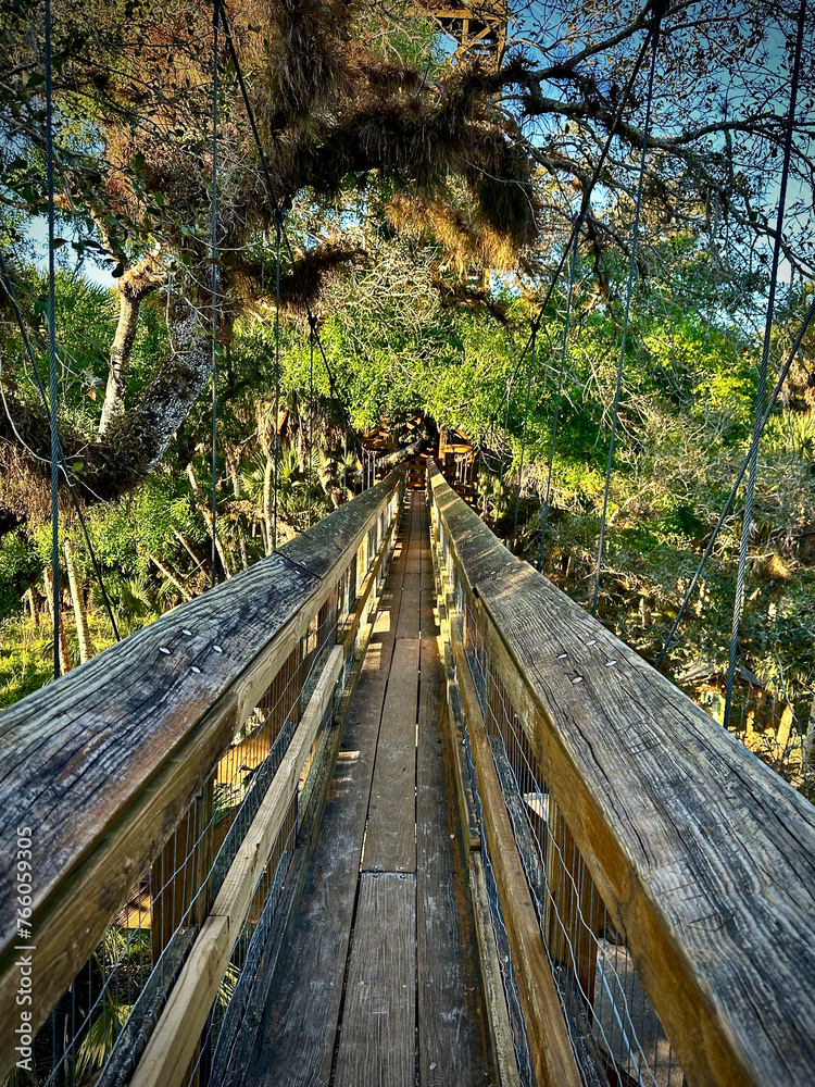 Canopy Walkway at Myakka River State Park Stock Photo | Adobe Stock