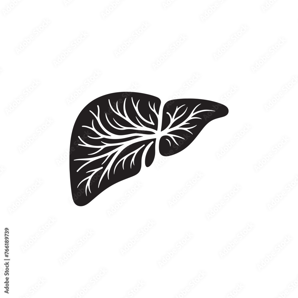 Human Liver Silhouette Vector: Depicting the Organ's Shape and Function ...
