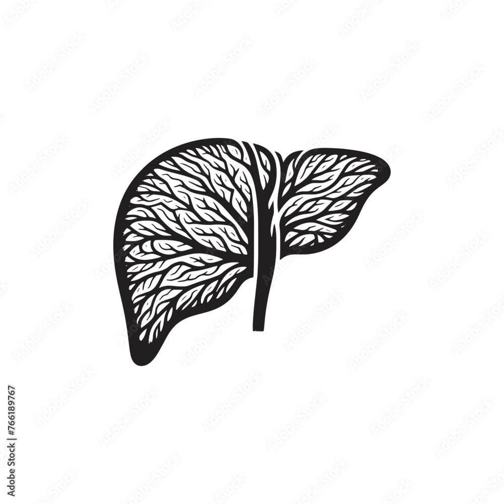Human Liver Silhouette Vector: Depicting the Organ's Shape and Function ...