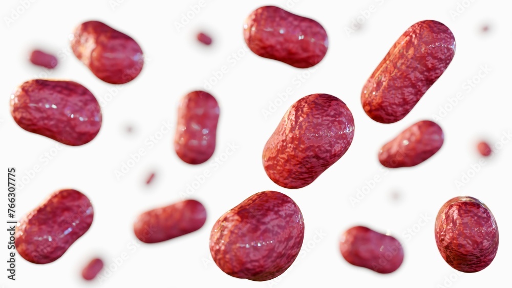 3d rendering of the bacterium Francisella tularensis causes tularemia ...