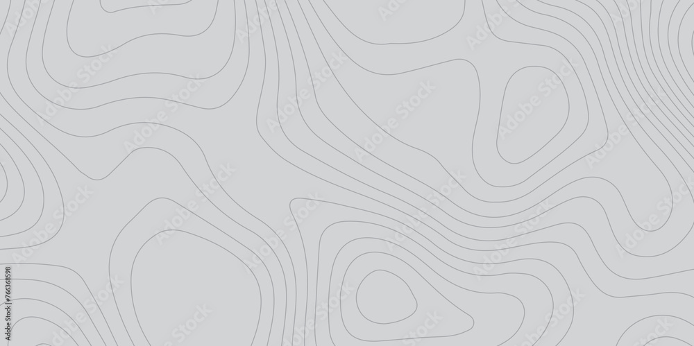 Topographic map background geographic line map pattern .panorama view ...