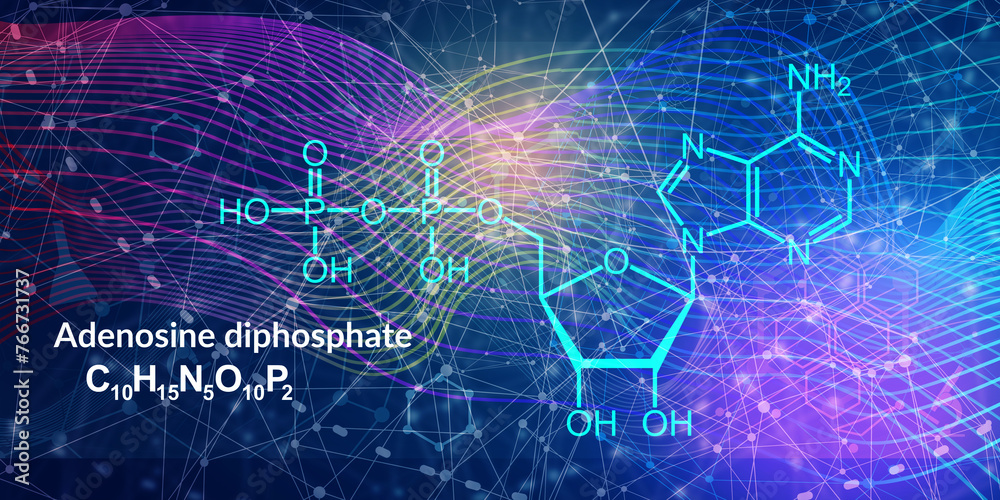 ADP or adenosine diphosphate molecular structure. DNA and RNA building ...