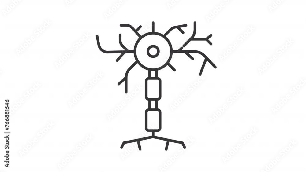 Animated neuron icon. Nerve cell line animation. Central nervous system ...