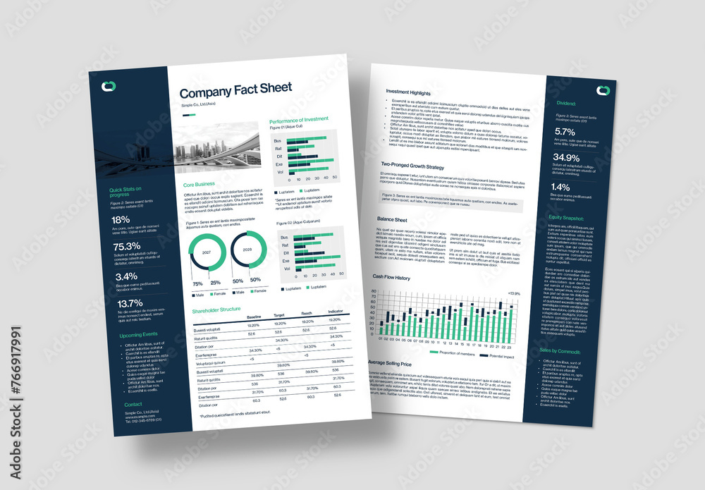 Factsheet Layout Stock Template | Adobe Stock