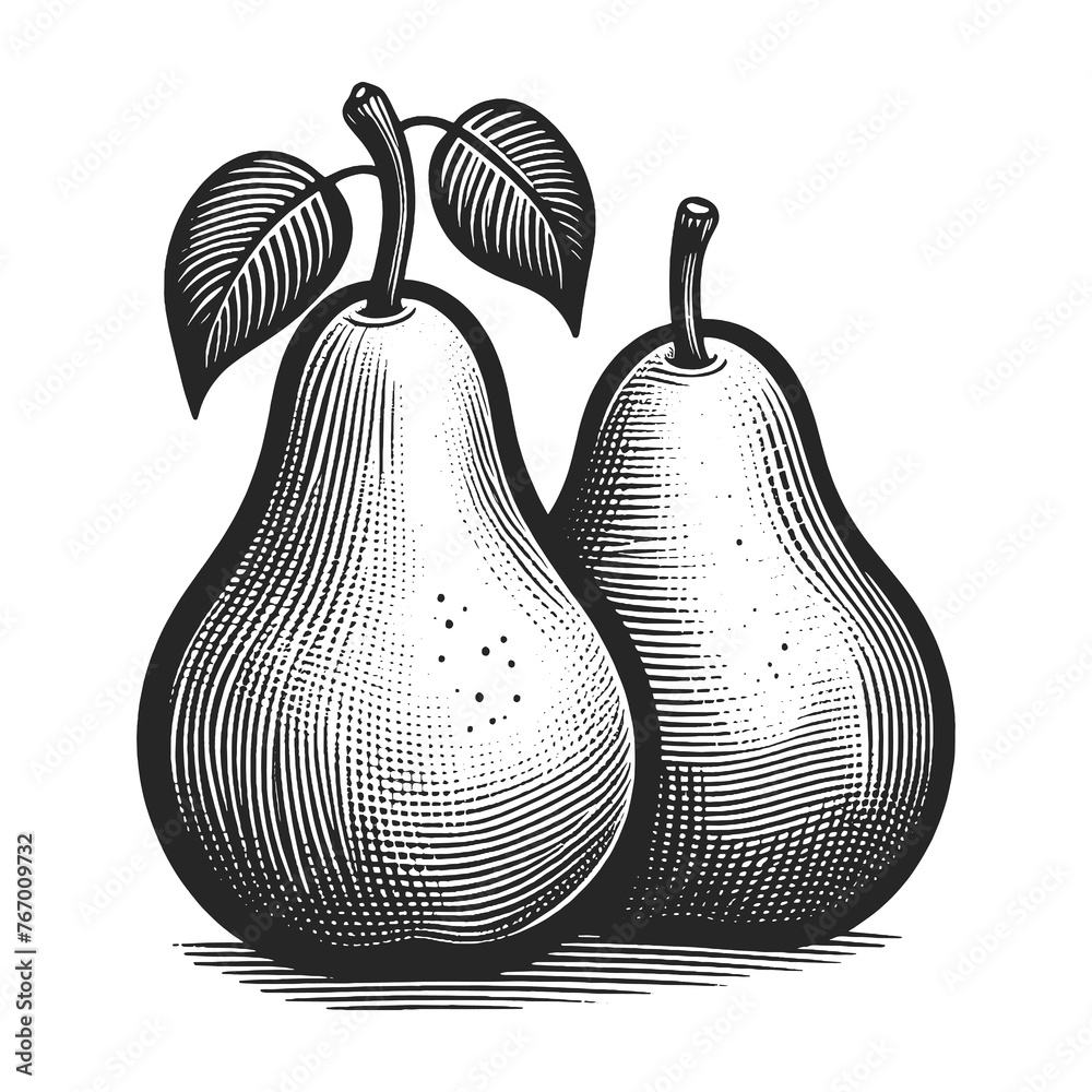 Two ripe pears with leaves fruit plant food sketch engraving generative ...