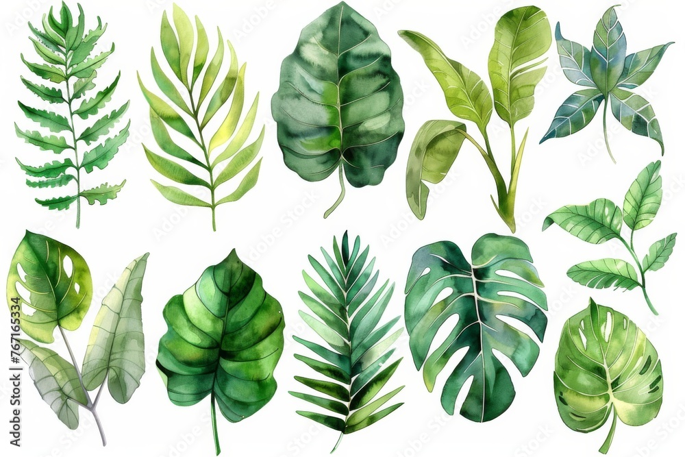 Watercolor green tropical leaves clip art, white background, different ...