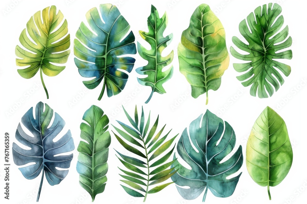 Watercolor green tropical leaves clip art, white background, different ...