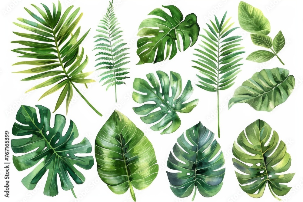 Watercolor green tropical leaves clip art, white background, different ...