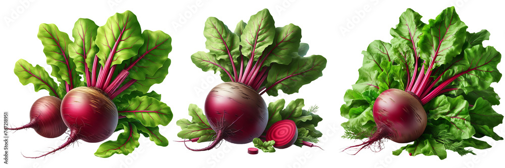 Fresh beetroot illustration set isolated on transparent background PNG ...