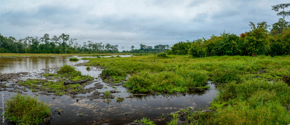 Image Number 10109697-Edit. View of Lango Bai. Odzala-Kokoua National ...