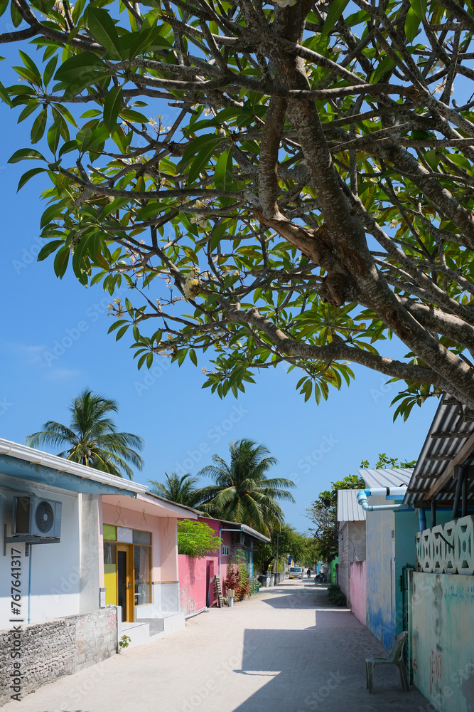 Beautiful local village at Mathiveri island. Mathiveri is one of the ...