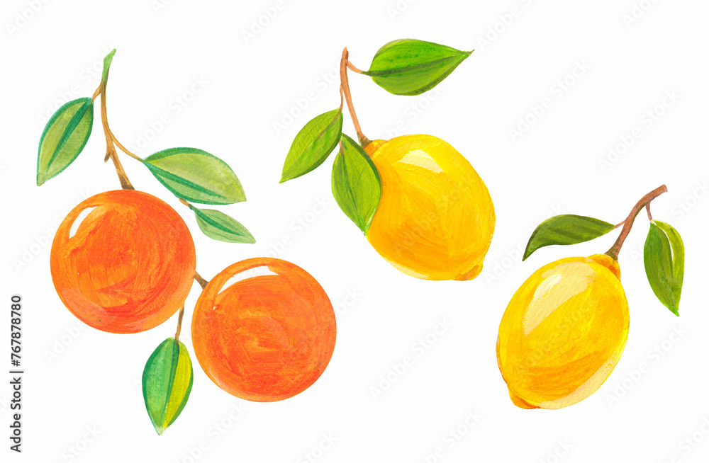 Abstract hand drawn orange and lemon illustrations. Citrus fruit clip ...