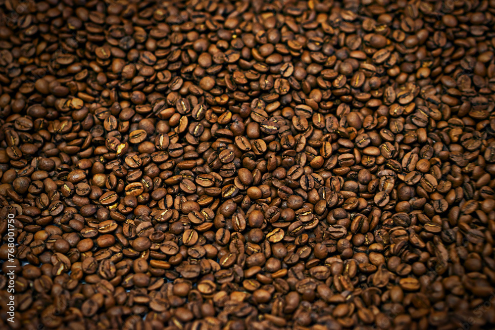 Coffee beans, closeup and organic with natural source for export ...