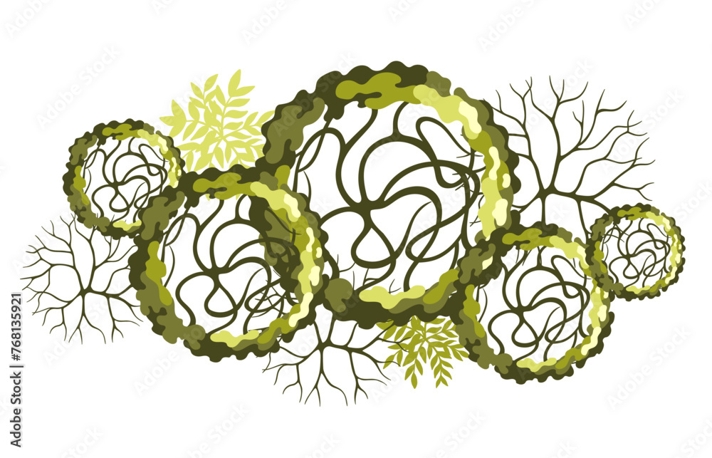 Group of trees for architectural floor plans. Entourage design. Various ...