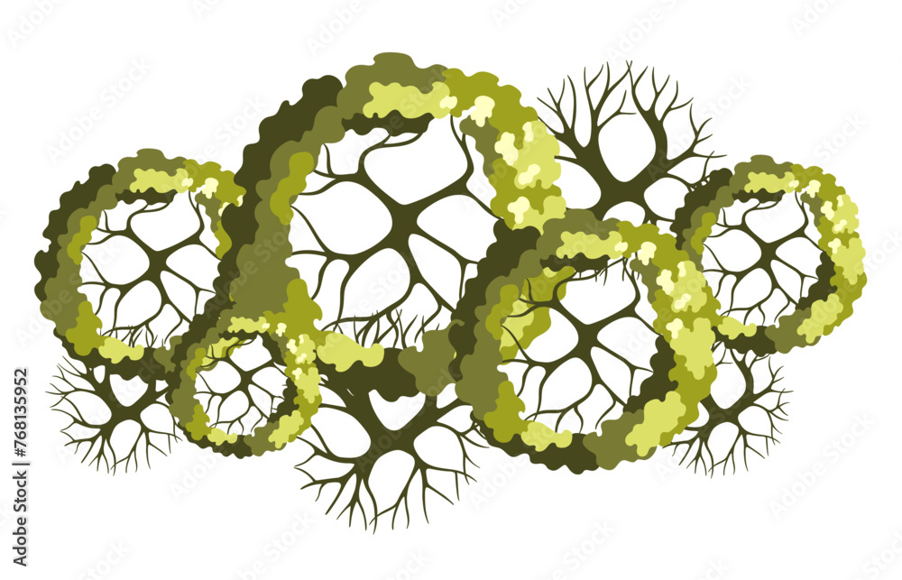 Group of trees for architectural floor plans. Entourage design. Various ...