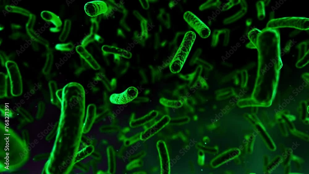 Floating lactobacillus bacteria, beneficial microorganisms, part of the ...