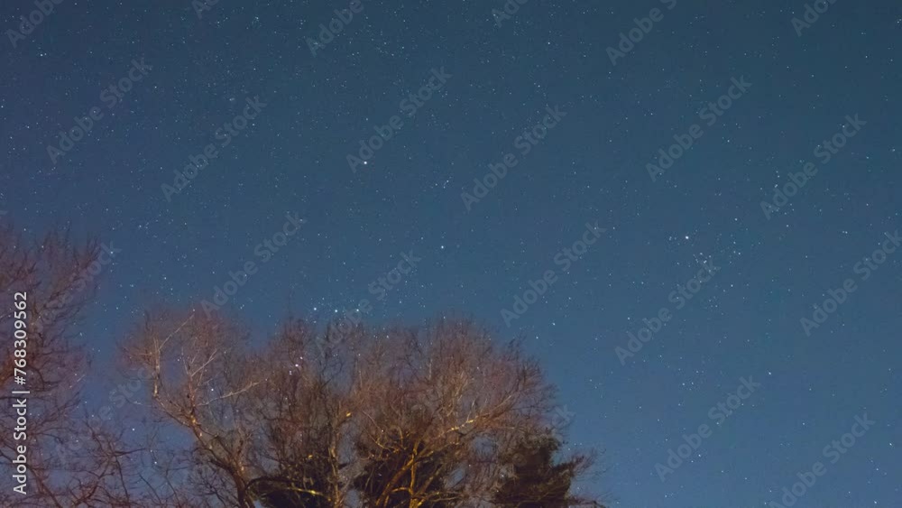 The Orion Constellation setting in the sky behind some trees. The ...