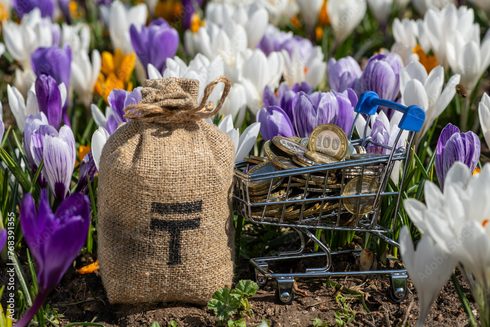 Money bag with Kazakh currency symbol tenge, supermarket shopping ...