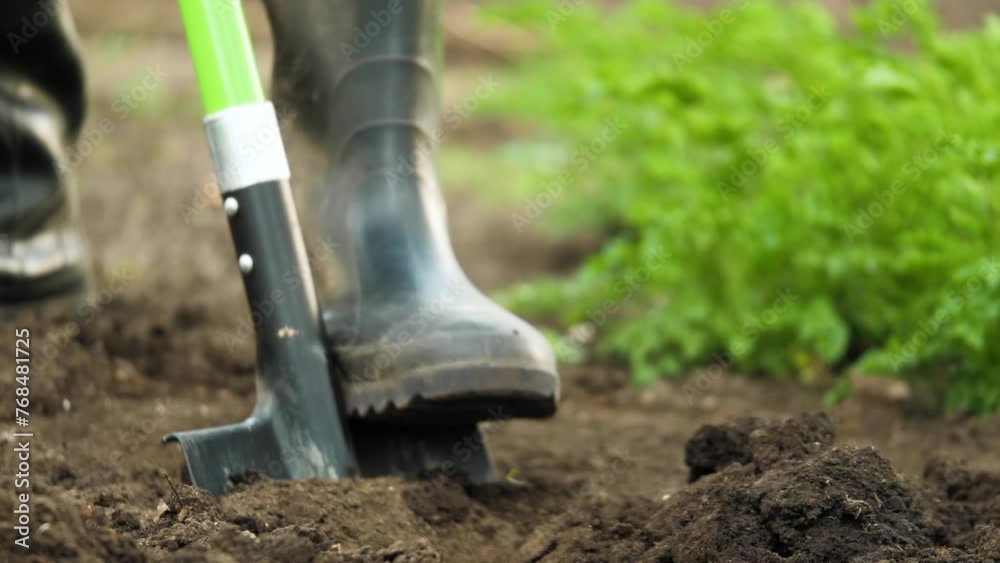 farmer digging soil shovel, agriculture, digging ground shoveled foot ...
