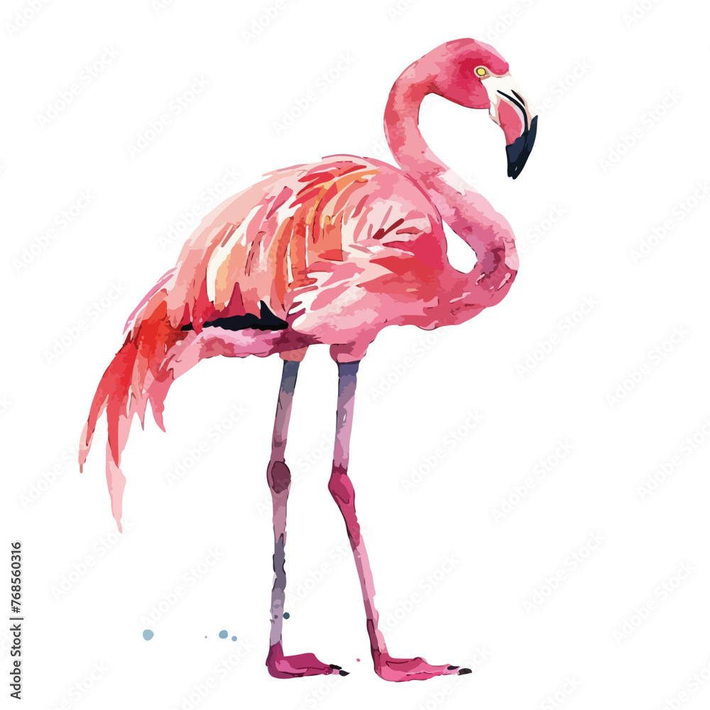 Watercolor Pink Flamingo Clipart clipart isolated on Stock Vector ...