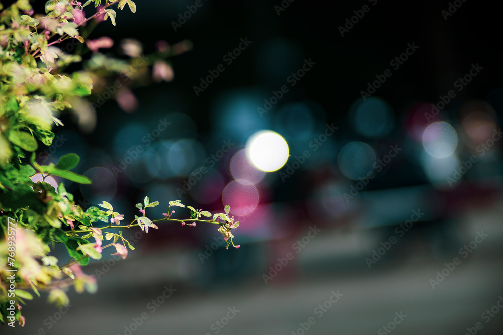 Bokeh in photography is the quality of the entire area that is out of focus. Thus, Bokeh is the ...