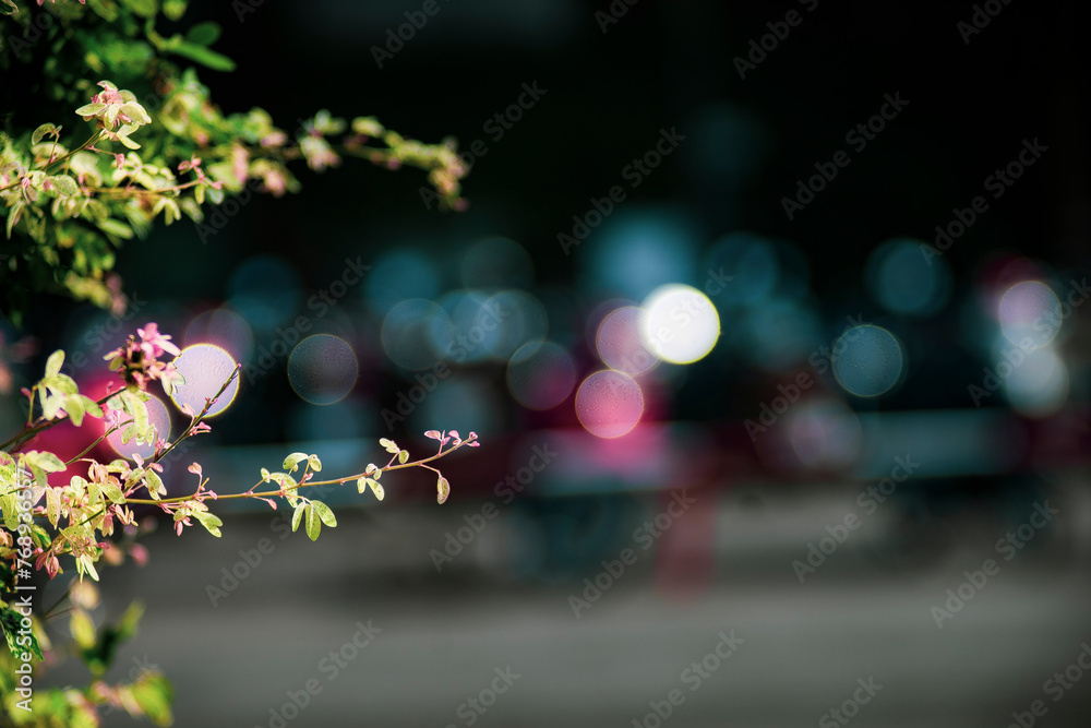 Foto de Bokeh in photography is the quality of the entire area that is out of focus. Thus, Bokeh ...