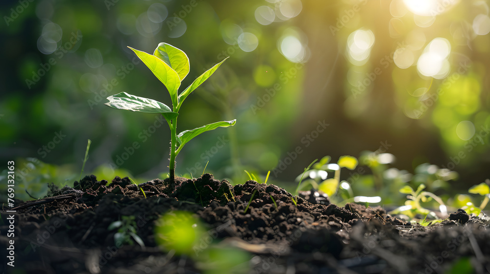 Sustainability background, climate change background, time to act ...