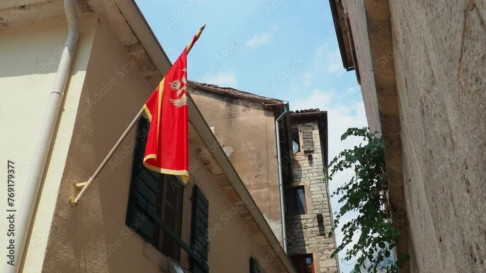 Vidéo Stock The national flag of Montenegro has a red field with gold ...
