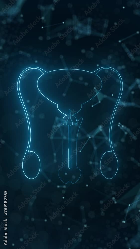 Male reproductive system icon animation with neon effect strokes and ...