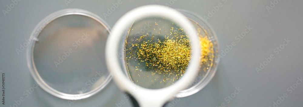 Close up of magnifying glass over golden glitter sample on petri dish ...