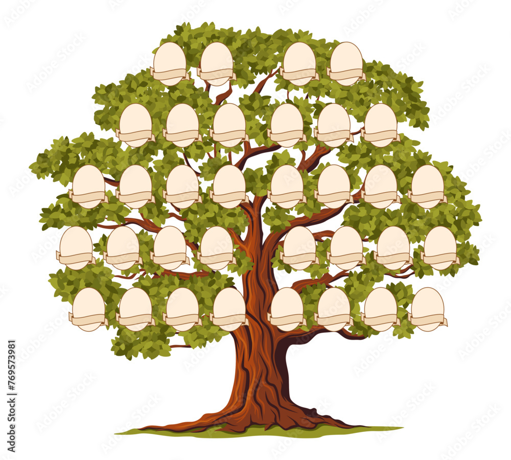 Isolated genealogy family tree, ancestry history branch frames. Pedigree chart vector template ...