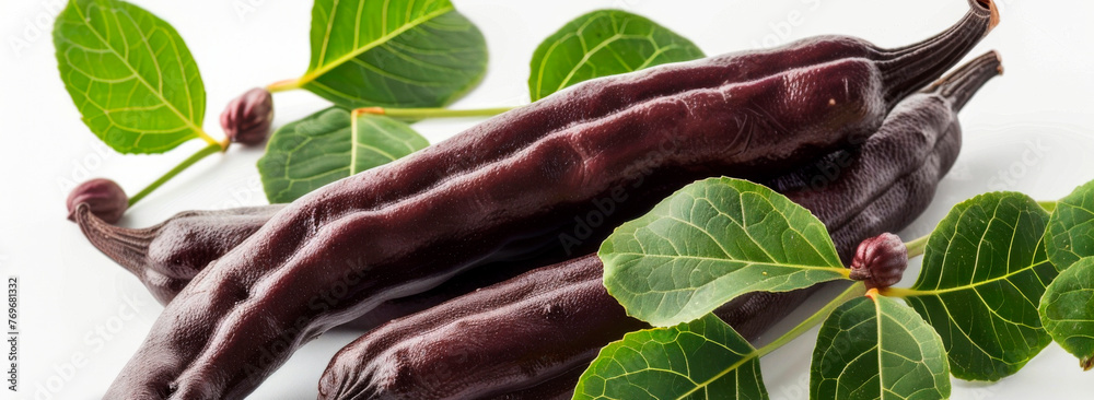 Carob fruits with leaves isolated over a white background. Carob fruits ...