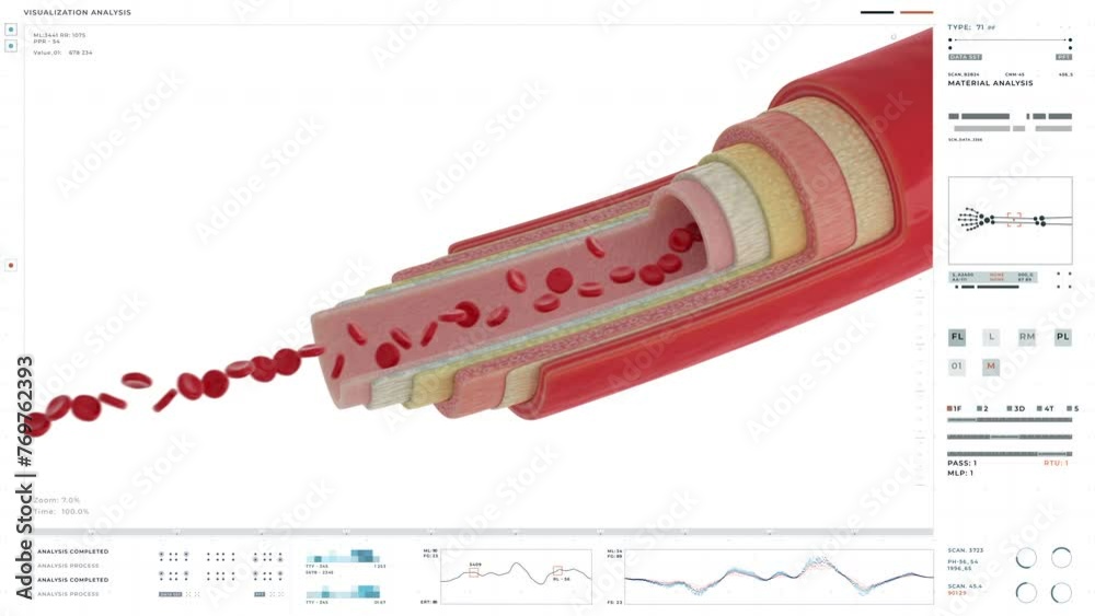 Modern medical software analysis of the patients blood cells. Analysing ...