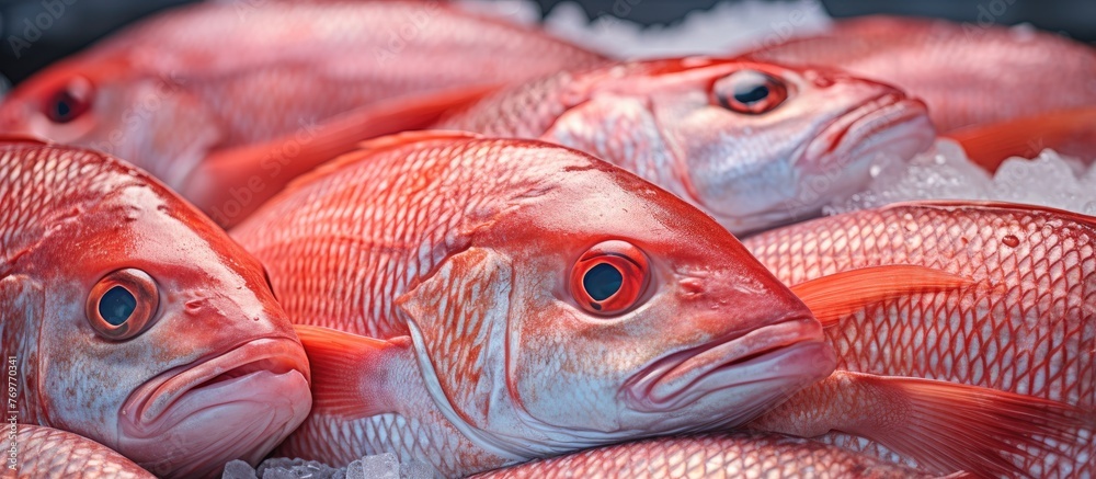 A school of electric blue rayfinned fish are stacked on ice. This ...