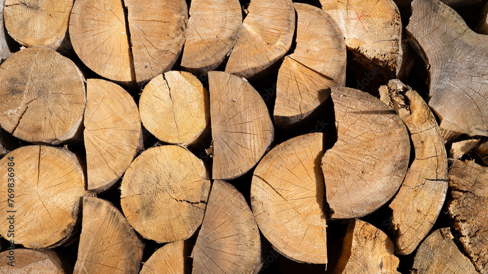 Stack of wooden stumps, tree trunks in cross-section texture wall ...