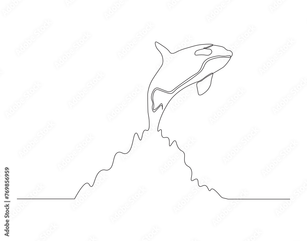 Continuous one line drawing of orca whale. One line of wild whale ...