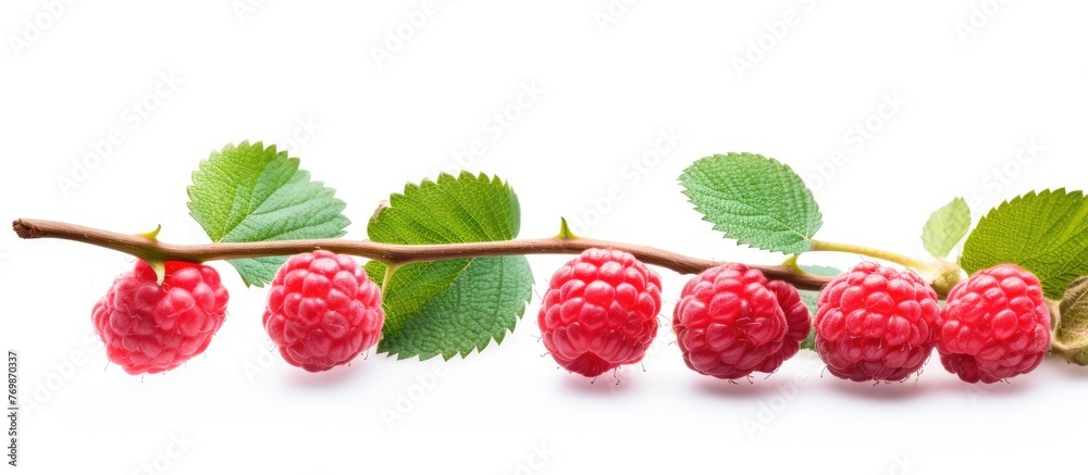 Raspberries, a delicious fruit belonging to the Frutti di bosco family ...