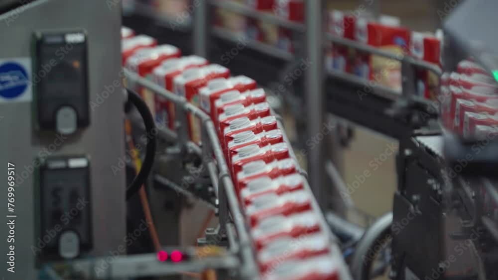Conveyor line at the Industrial Dairy Production Facility. Dairy Milk ...