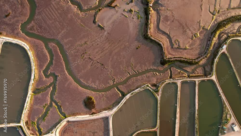 Vidéo Stock An overhead shot capturing the intricate patterns and ...