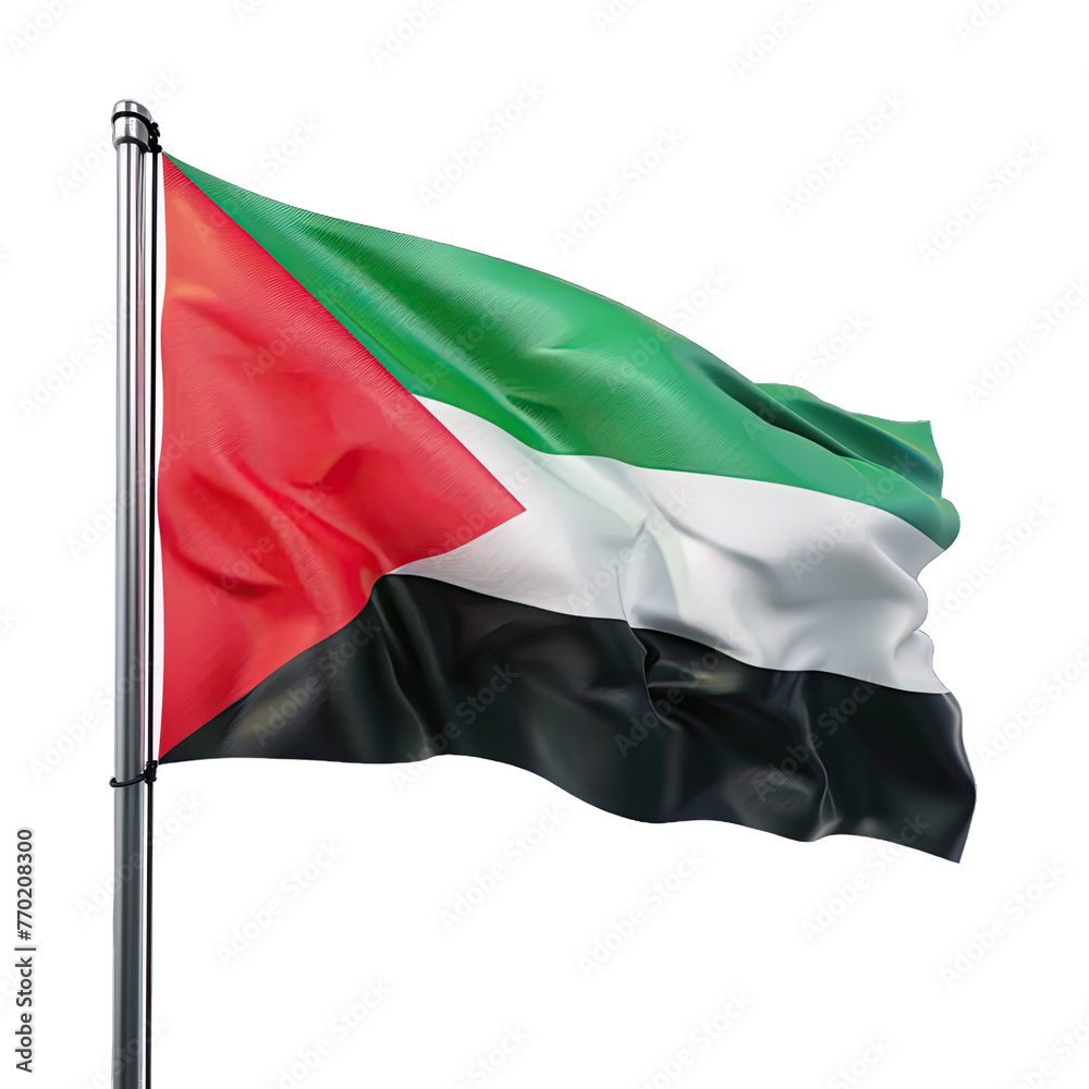 palestine flag transparent background png isolated on white background ...