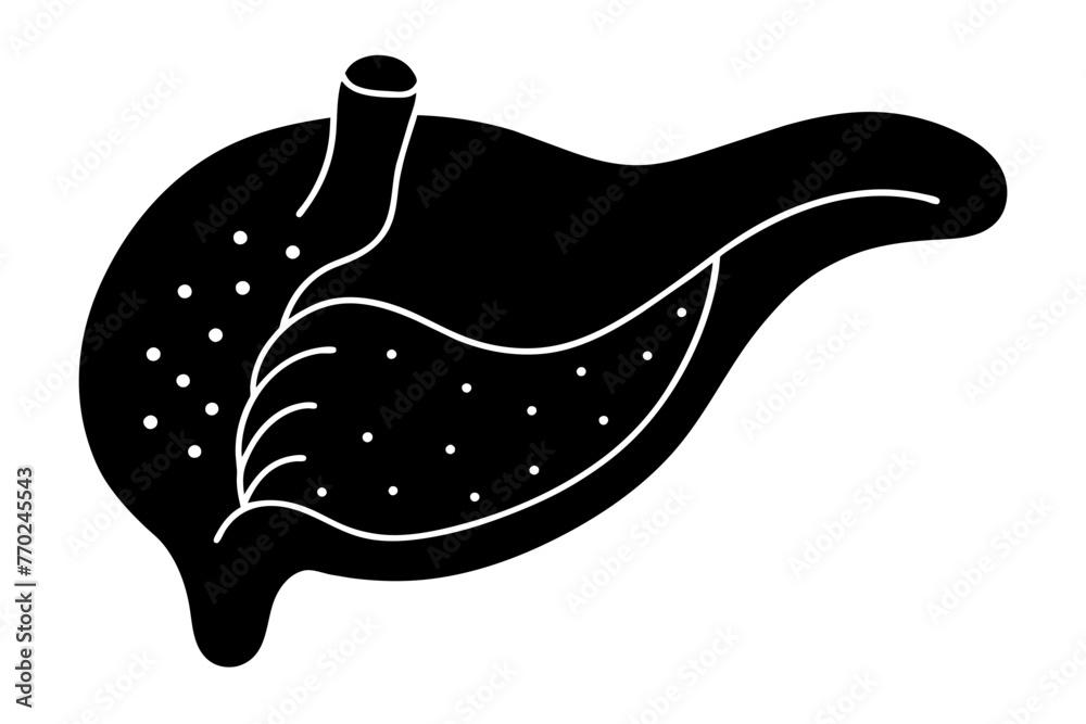 gallbladder silhouette vector illustration Stock Vector | Adobe Stock