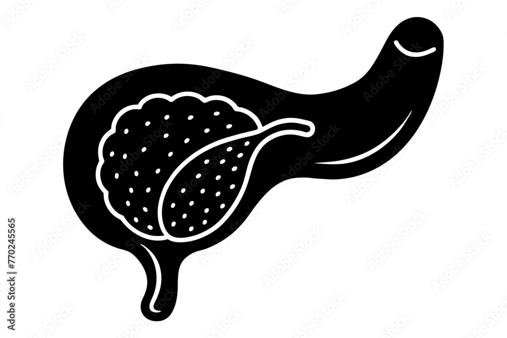 gallbladder silhouette vector illustration Stock Vector | Adobe Stock