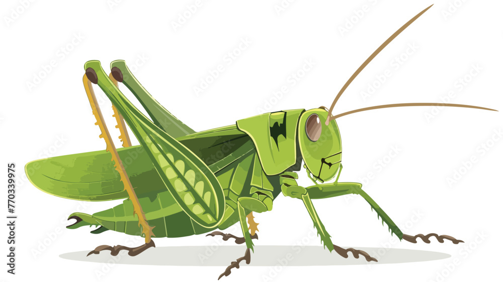 Cartoon grasshopper on white background flat vector isolated Stock ...