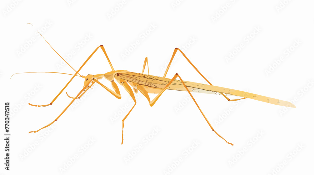Cartoon stick insect on white background flat vector isolated Stock ...