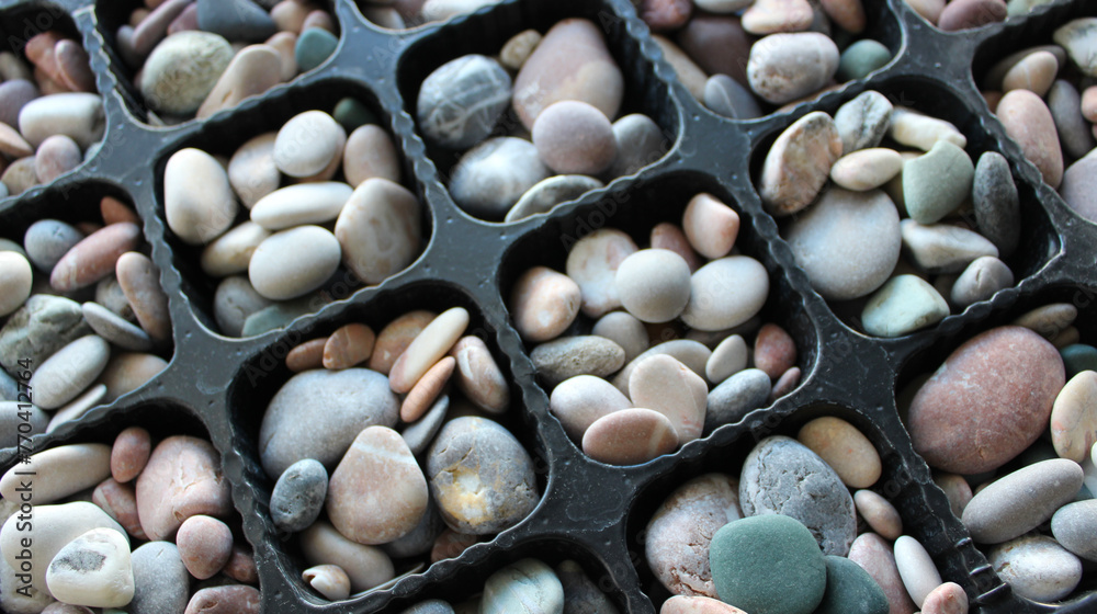 Identical Square Compartments Of Plastic Box With Colored Sea Stones ...